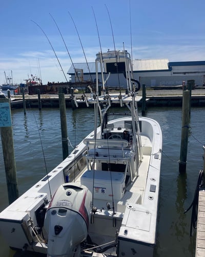 RipTide Charters in Wanchese, North Carolina: Captain Experiences