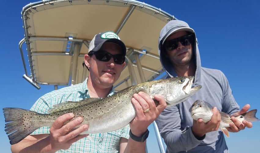 SHALLOW THOUGHTS with Captain Experiences