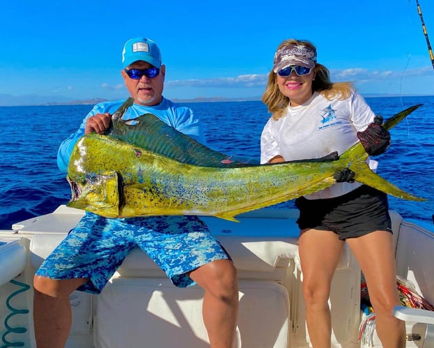 Cabo San Lucas Fishing Charters in Cabo San Lucas, Baja California Sur ...