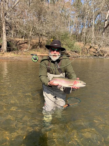 Beavers Bend Fly Fishing Guide Service with Captain Experiences