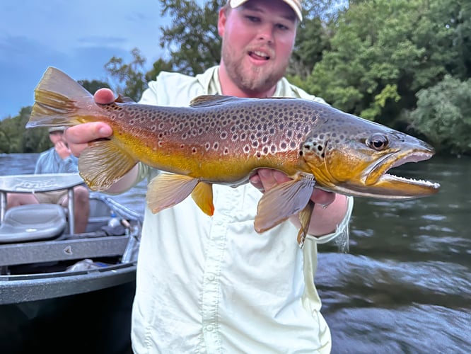 Ellis Ward Guide Service in Johnson City, Tennessee: Captain Experiences
