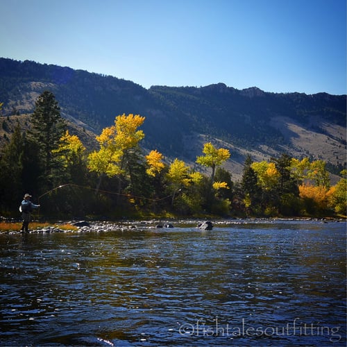 Montana Fly Fishing Guides in Sheridan, Montana: Captain Experiences