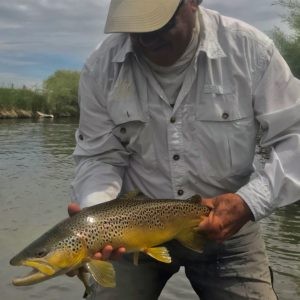 Montana Fly Fishing Guides in Sheridan, Montana: Captain Experiences