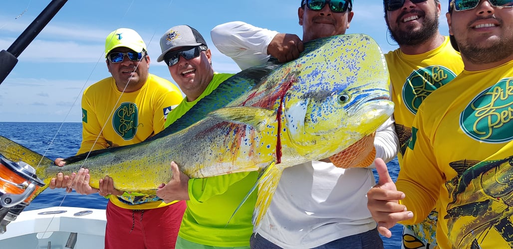 Big Eye Sportfishing with Captain Experiences