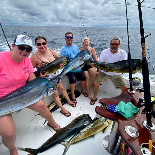 Billfish, Wahoo, Mahi & Tuna In Puerto Jiménez