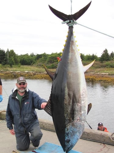 World Record Tuna in Canso, Nova Scotia: Captain Experiences