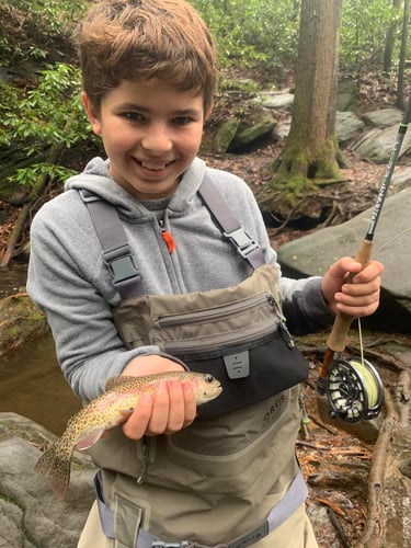 Georgia Wild Trout with Captain Experiences