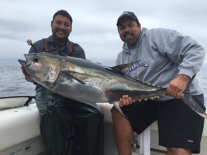 Pacific Mistress Sportfishing with Captain Experiences