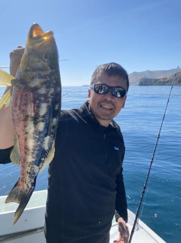 TD Tradition Charters in Los Angeles, California: Captain Experiences