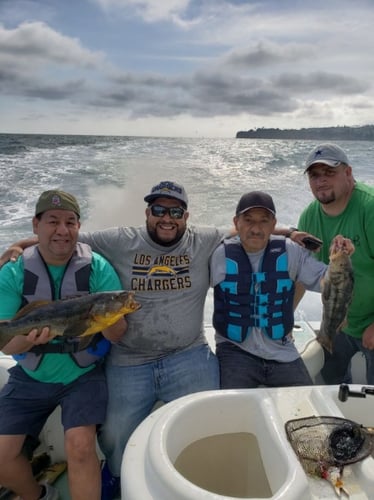 TD Tradition Charters in Los Angeles, California: Captain Experiences