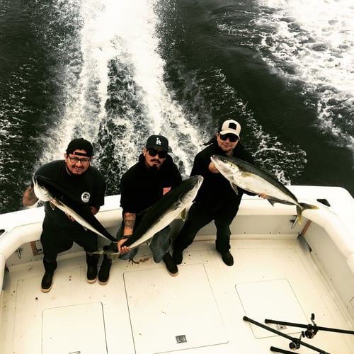 TD Tradition Charters in Los Angeles, California: Captain Experiences