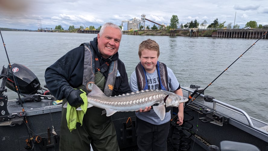 Sturgeon Catch And Release In Portland