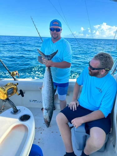 Apex Predator Sportfishing with Captain Experiences