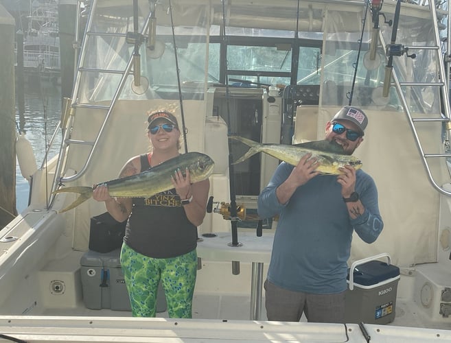 Apex Predator Sportfishing with Captain Experiences