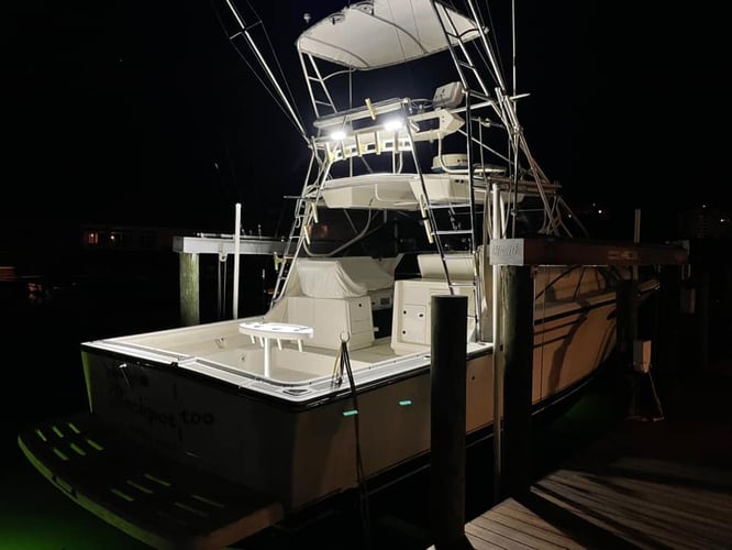 Apex Predator Sportfishing with Captain Experiences