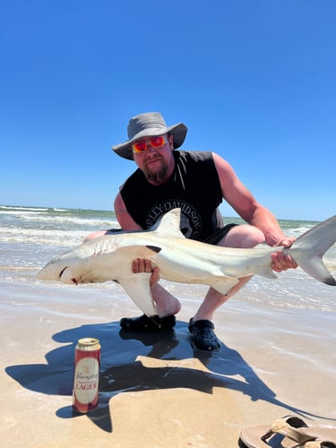 Shark Fishing Adventure In Port Aransas