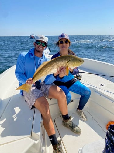Bay Fishing Bonanza In Pensacola