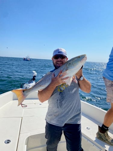 Bay Fishing Bonanza In Pensacola