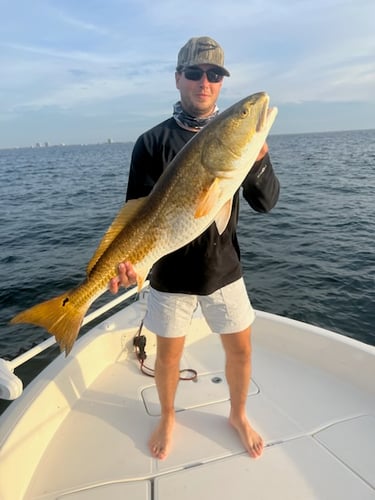 Bay Fishing Bonanza In Pensacola
