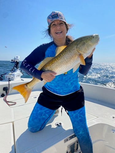 Bay Fishing Bonanza In Pensacola