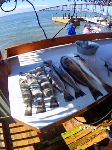 Capt. Doug Fishing Guide Service in Corpus Christi, Texas: Captain ...