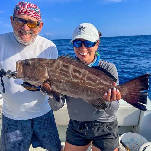 Pelagic Pirate Charters with Captain Experiences