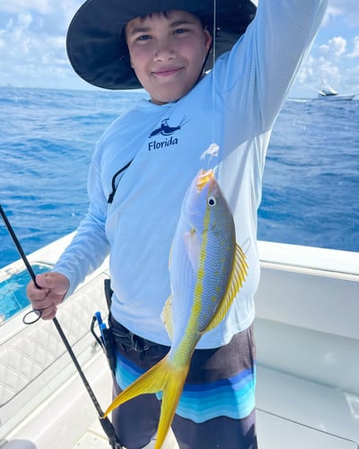 Pelagic Pirate Charters with Captain Experiences