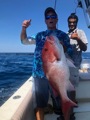 Alabama Red Snapper Classic In Gulf Shores