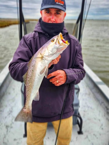 Sonrise Fishing with Captain Experiences