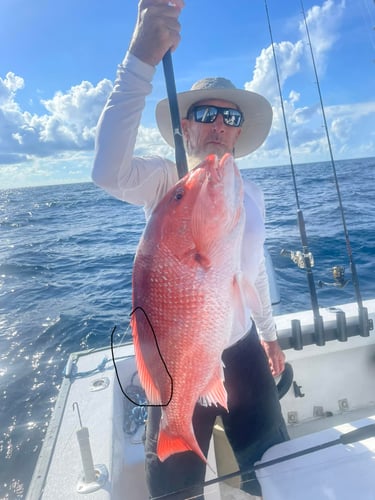 Alpha fishing charters in Pensacola, Florida: Captain Experiences