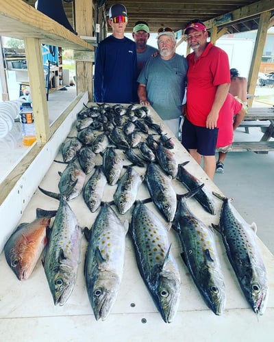 Inshore / Near Shore Fishing In Orange Beach
