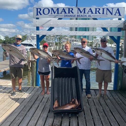 Red Snapper / Reef Fishing In Orange Beach