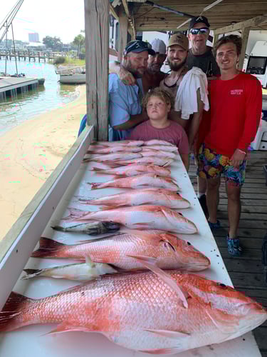 Red Snapper / Reef Fishing In Orange Beach