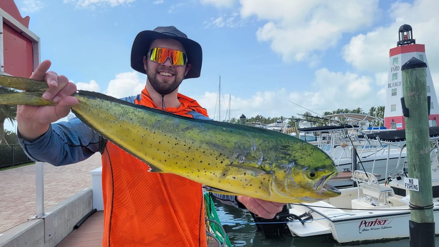 Deep Sea Combo (Swordfishing) In Marathon