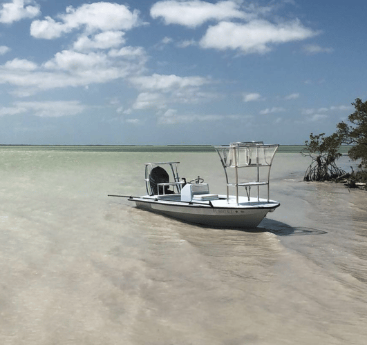 Southern Time Charters in Tavernier, Florida: Captain Experiences