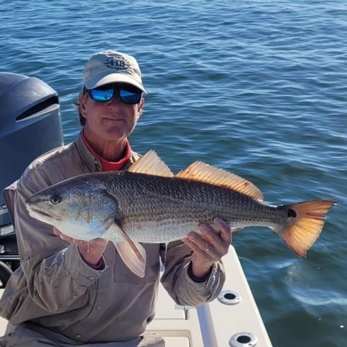 Recess Sportfishing in Jacksonville, Florida: Captain Experiences
