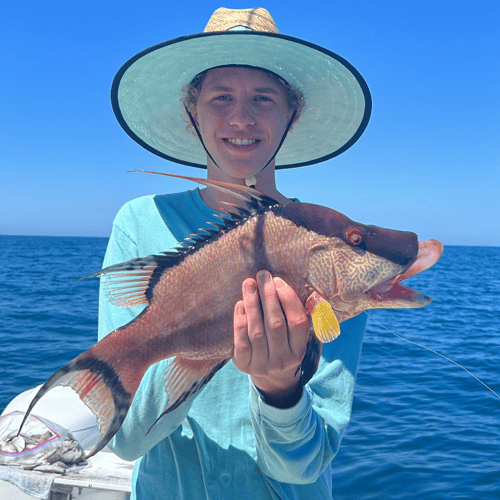 Bottom Line Sportfishing with Captain Experiences