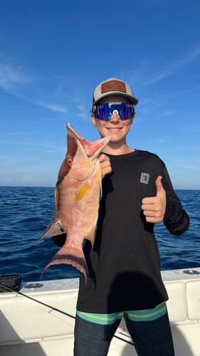 Bottom Line Sportfishing with Captain Experiences