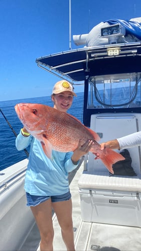 Bottom Line Sportfishing with Captain Experiences