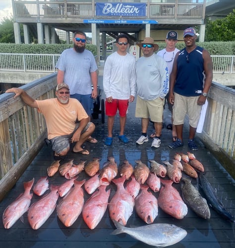 Bottom Line Sportfishing with Captain Experiences