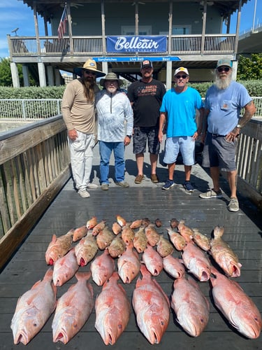 Bottom Line Sportfishing with Captain Experiences