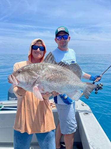 Pulley Ridge In Key West