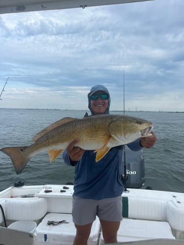 4 HR Inshore/Harbor/Jetties Fishing AM In Charleston