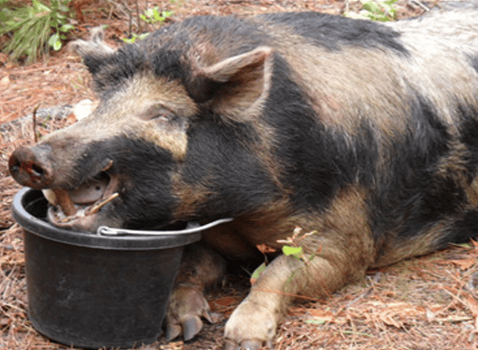 Robert Ranch with Captain Experiences