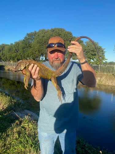 Lowes Gator and Iguana in Fort Lauderdale, Florida: Captain Experiences