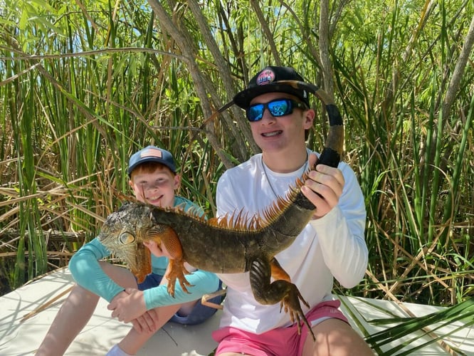 Lowes Gator and Iguana in Fort Lauderdale, Florida: Captain Experiences
