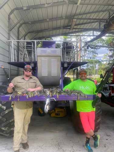 Lowes Gator and Iguana in Fort Lauderdale, Florida: Captain Experiences