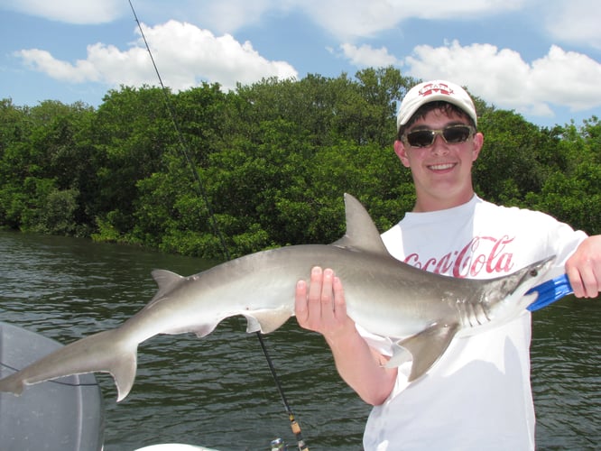 Fish Hunter Fishing Charters in St. Petersburg, Florida: Captain ...