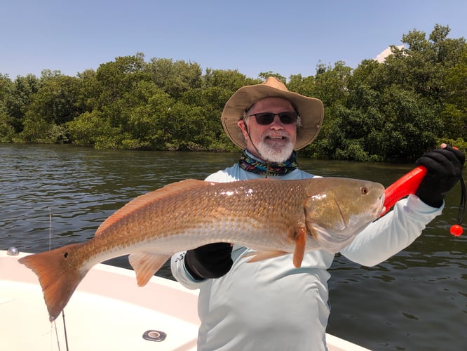 Fish Hunter Fishing Charters in St. Petersburg, Florida: Captain ...