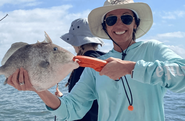5 Or 6 Hour Bottom/Trolling Trip In Gulf Shores